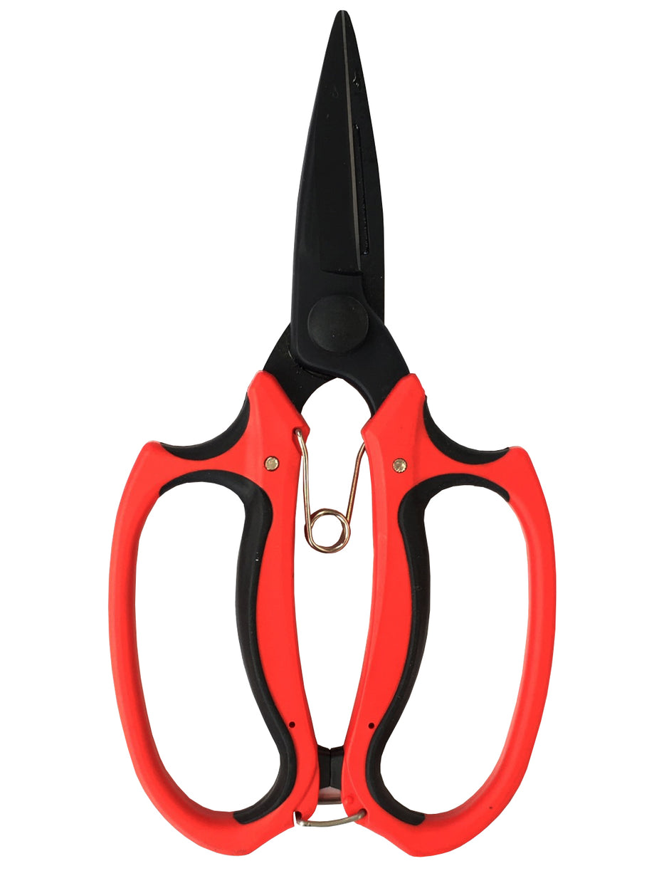 Scissors – Toolpro